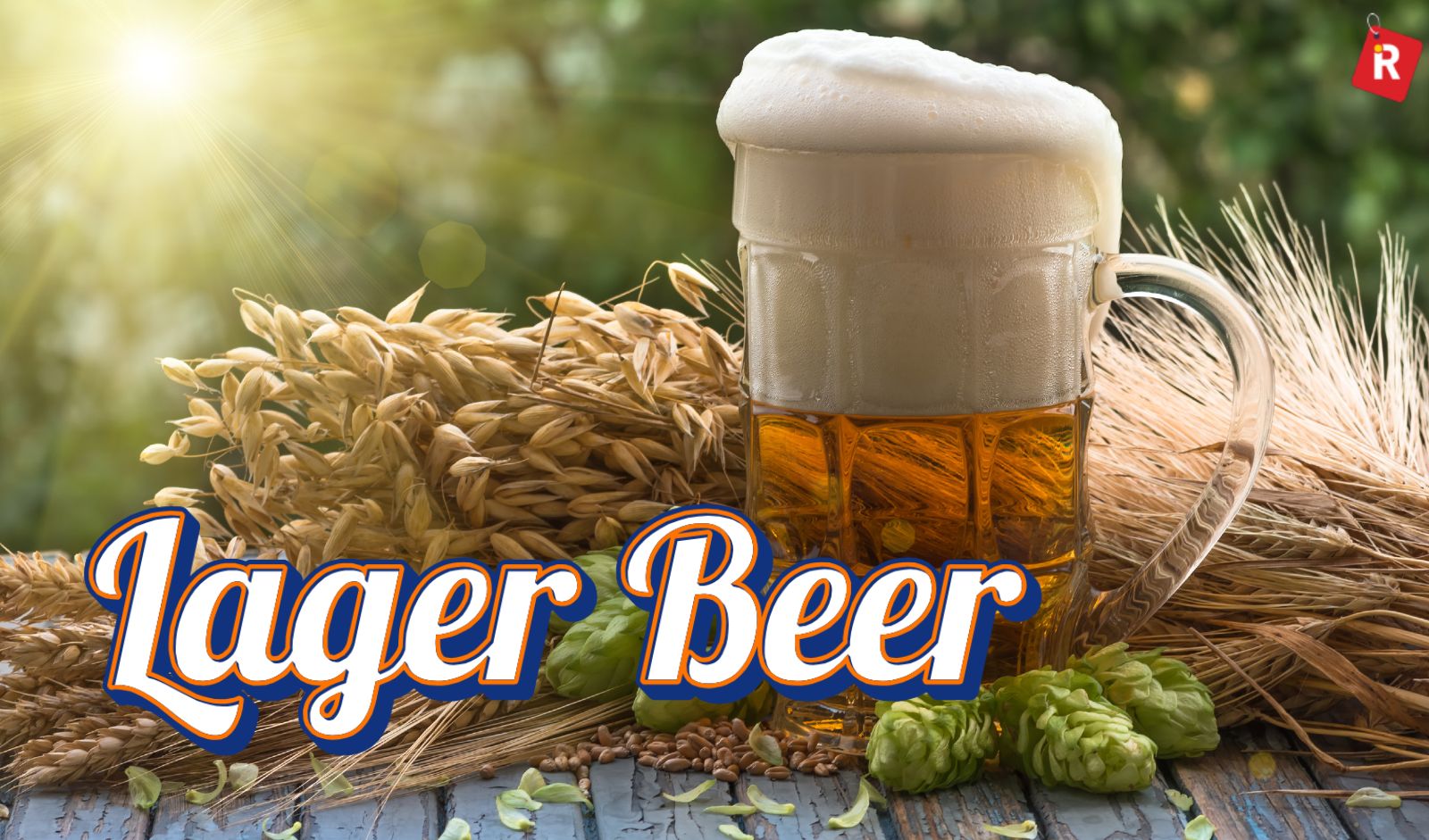 Best Mineral Water Brands in India for Safe & Pure Hydration - Indian Retailer